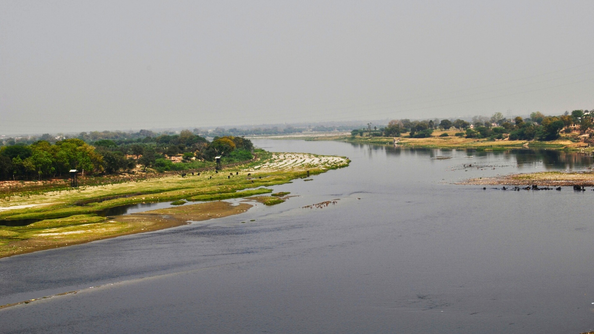 Yamuna Flood Plains, Hiranki