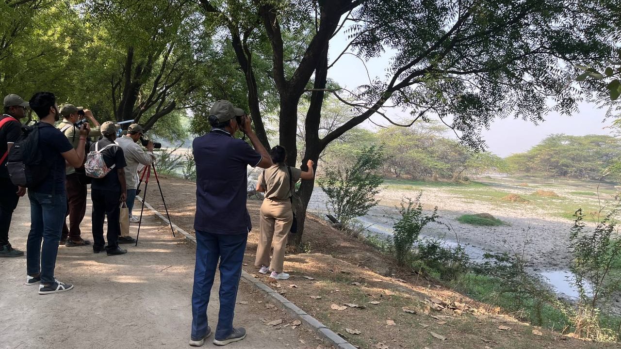 Sultanpur National Park, Gurugram